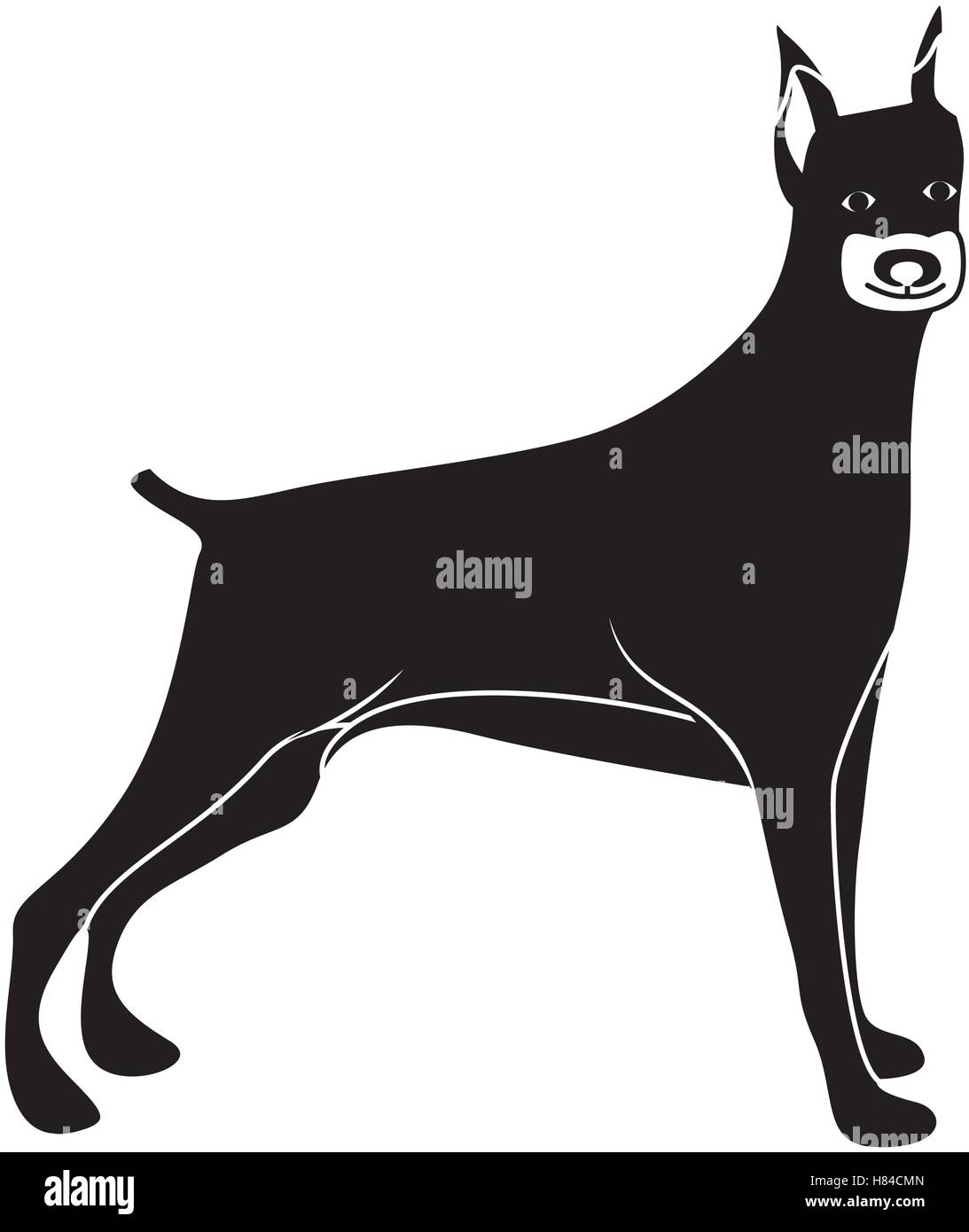 cute Doberman dog animal icon over white background. vector ...