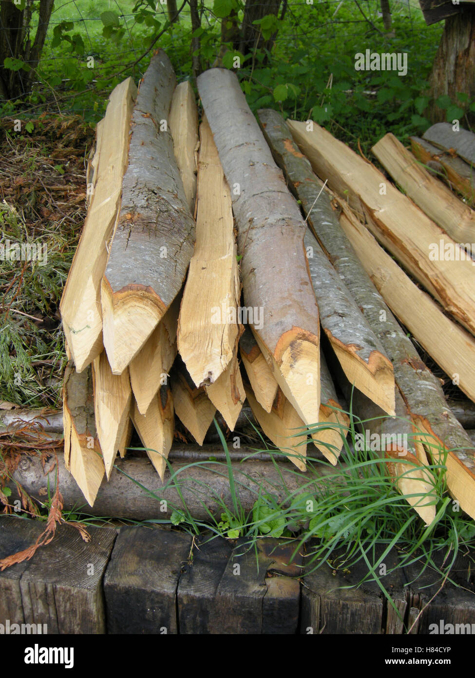 Split rail fence posts Stock Photo - Alamy