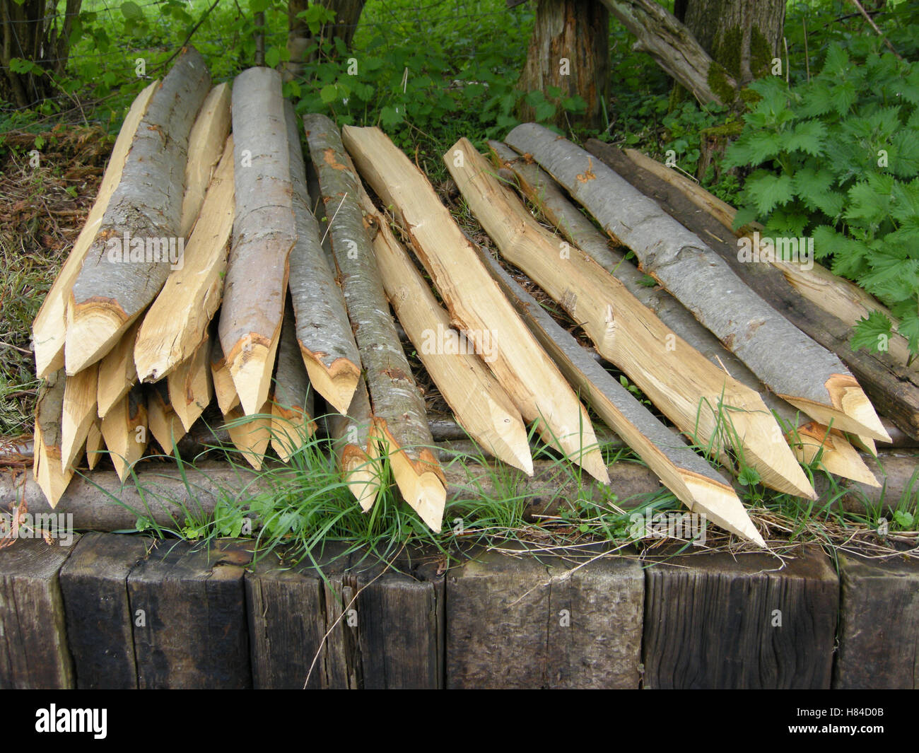 Split rail fence posts Stock Photo - Alamy