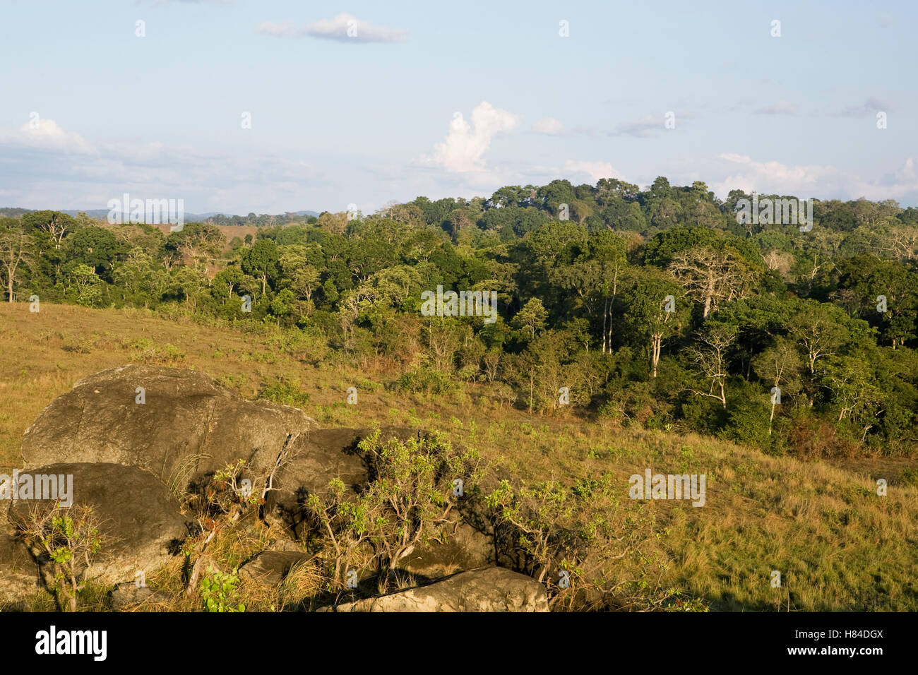 Tropical rainforest and savanna mosaic, Lope National Park, Gabon Stock ...