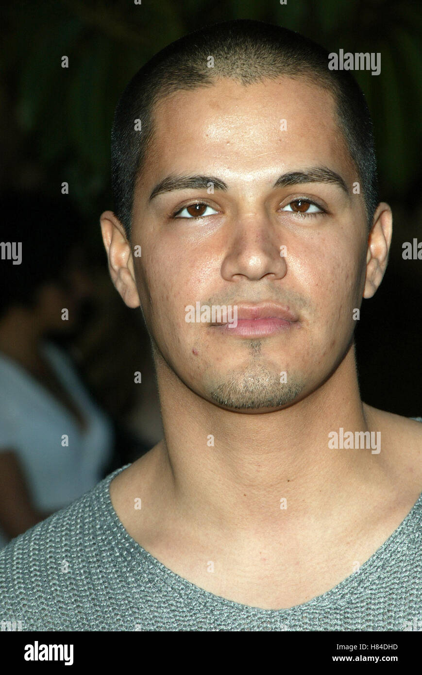 JAY HERNANDEZ THE SALTON SEA WORLD PREMIERE LOS ANGELES EGYPTIAN ...