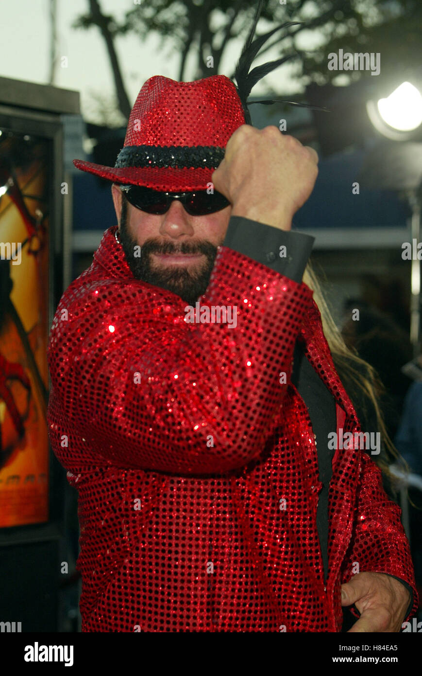 Man Spider High Resolution Stock Photography and Images - Alamy