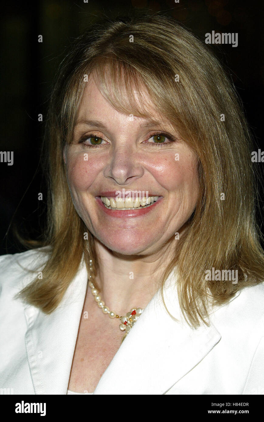 HELEN SHAVER DUE EAST FILM PREMIERE DIRECTORS GUILD OF AMERICA LOS ...