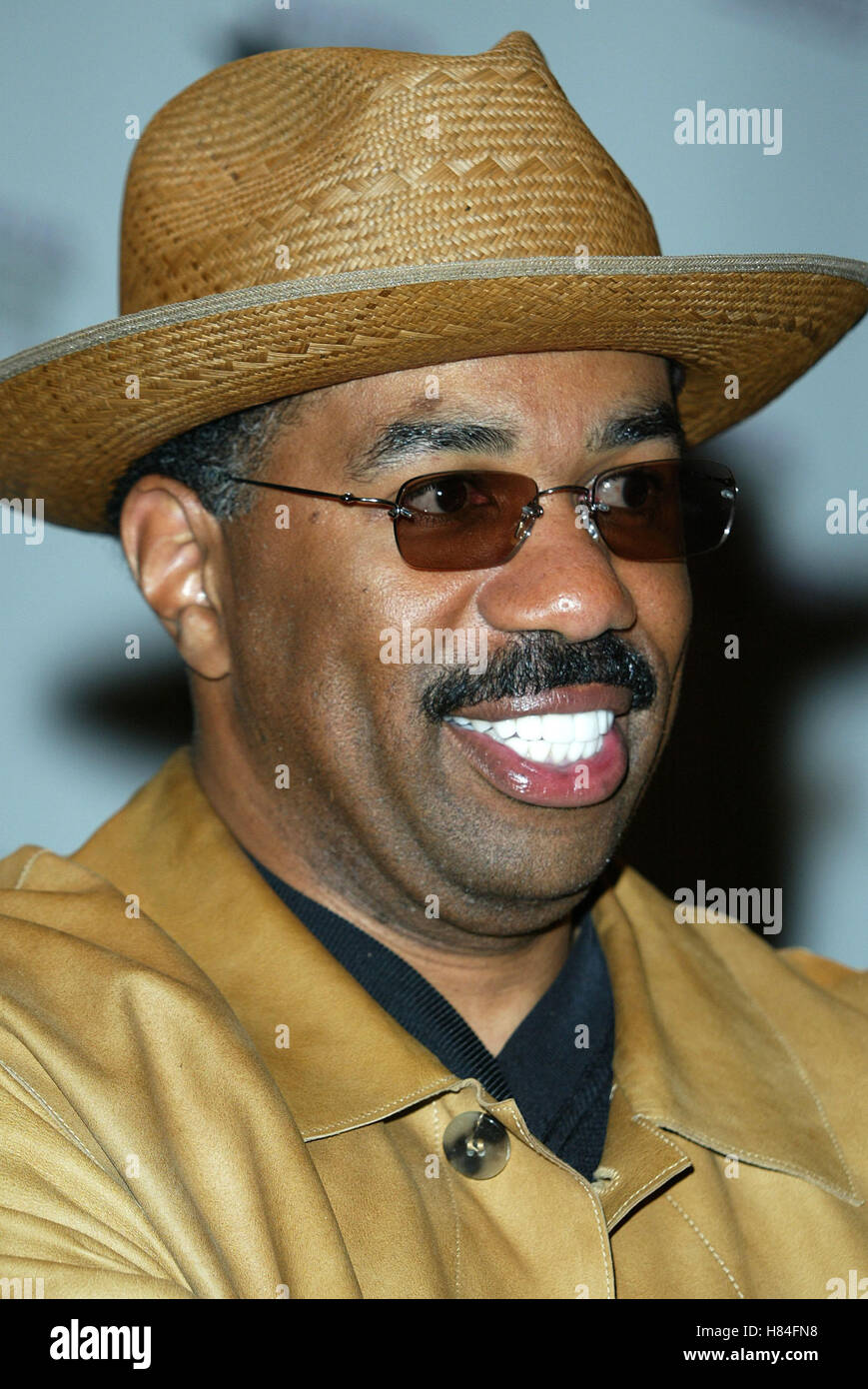 Steve Harvey Portrait Stock Photos & Steve Harvey Portrait Stock Images ...