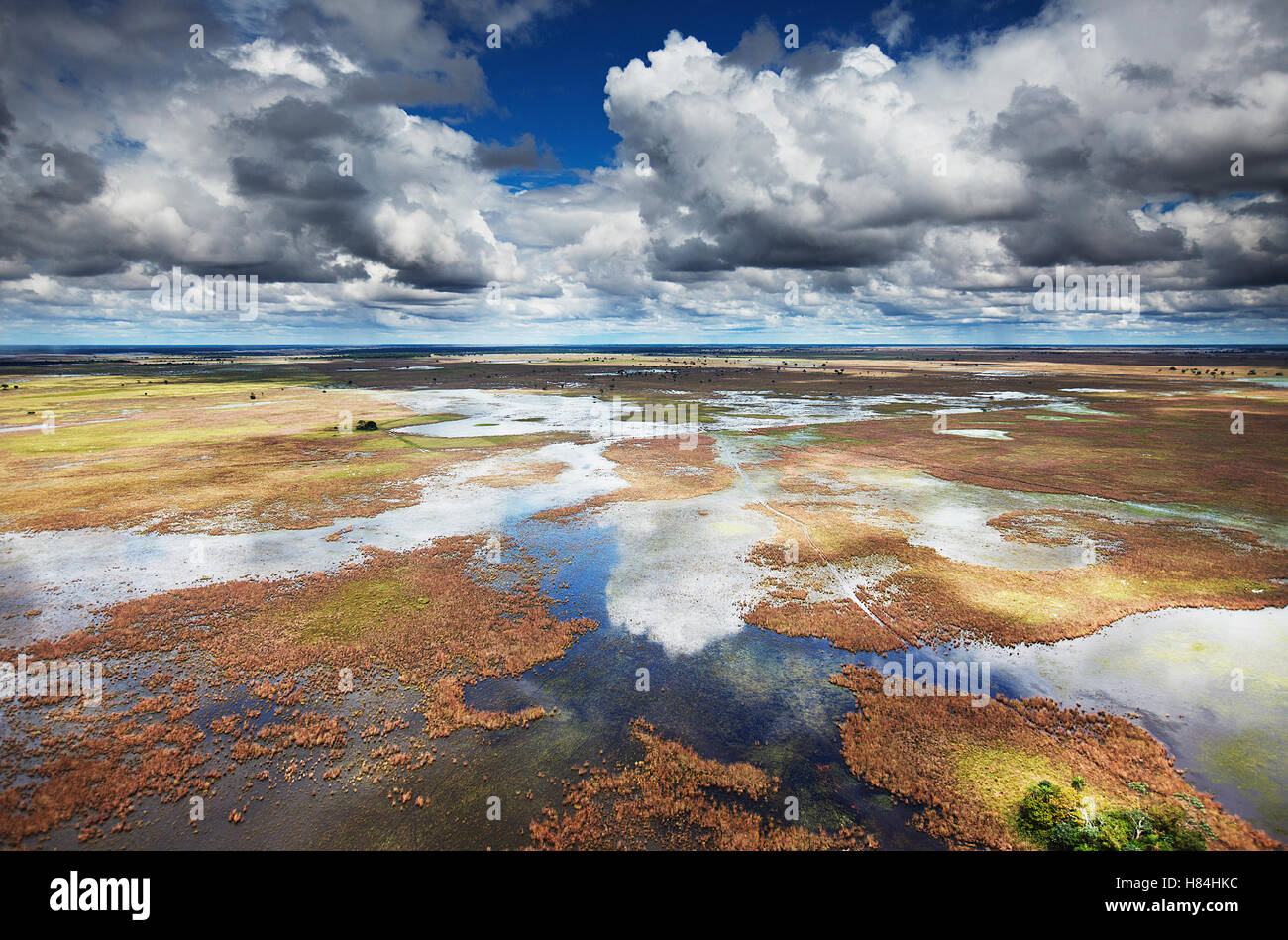 Flooded fields during the rainy season, Pantanal, Brazil Stock Photo ...