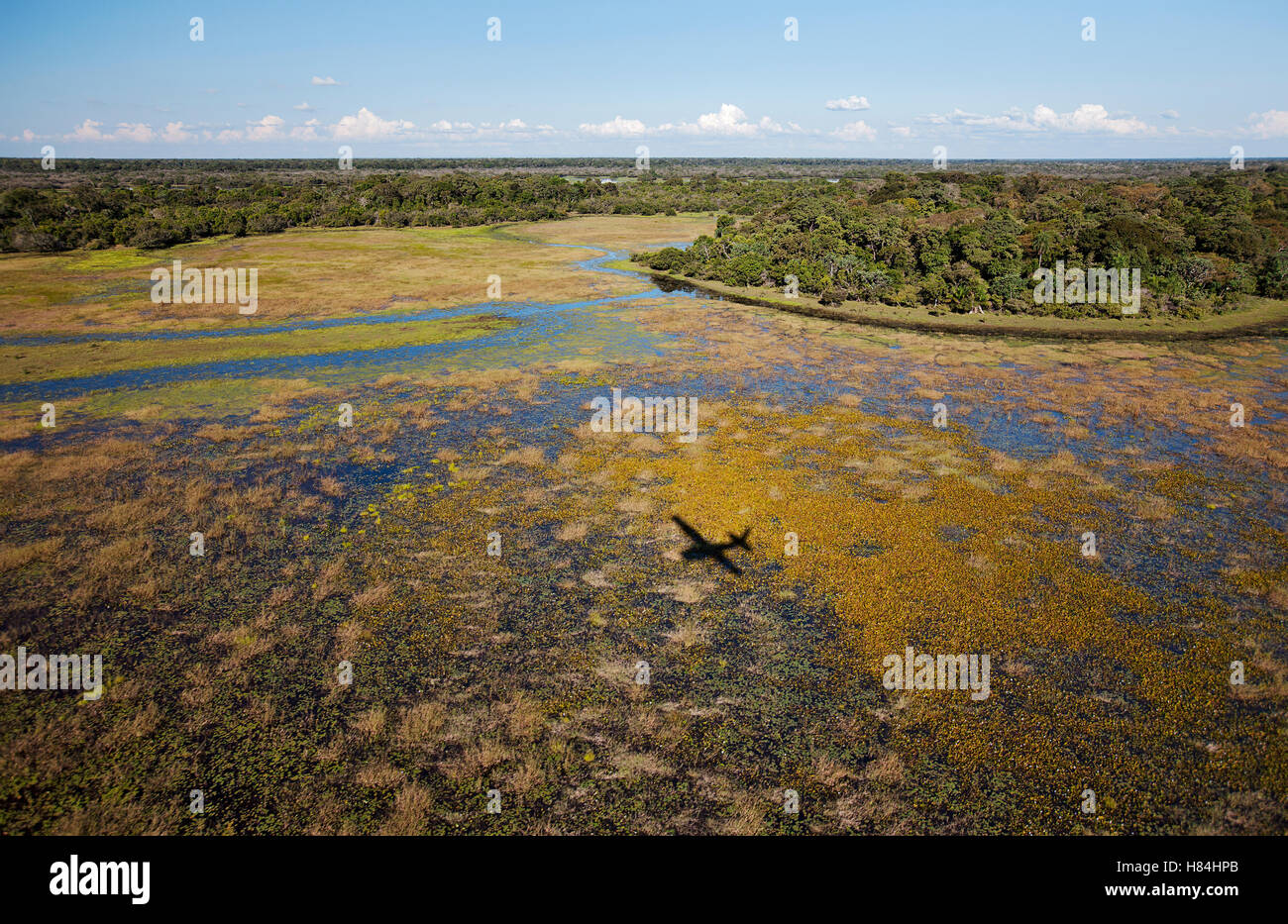 Flooded fields, wet season, Pantanal, Brazil Stock Photo - Alamy