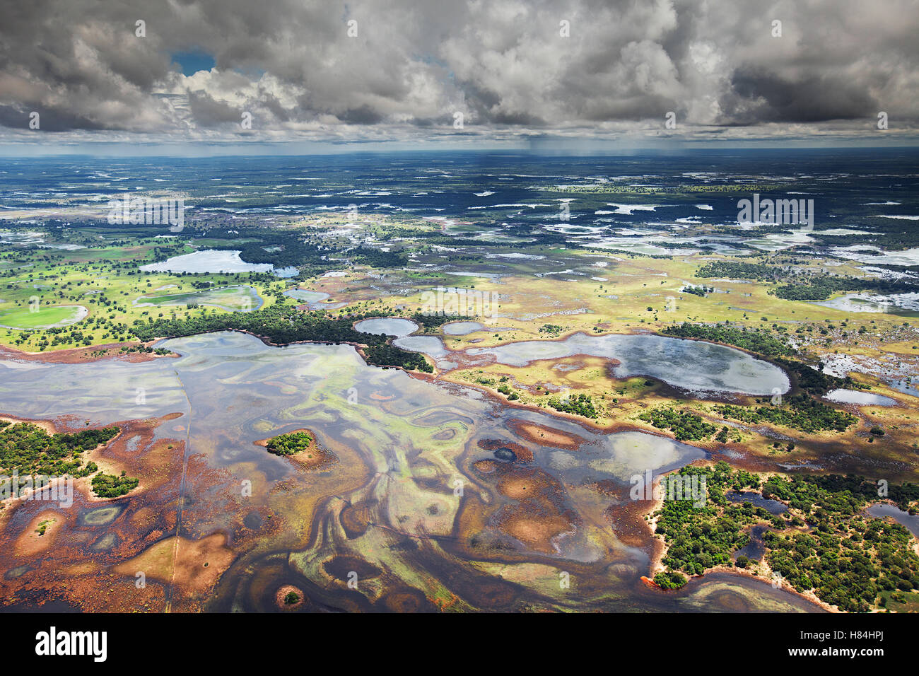 Flooded fields, wet season, Pantanal, Brazil Stock Photo - Alamy