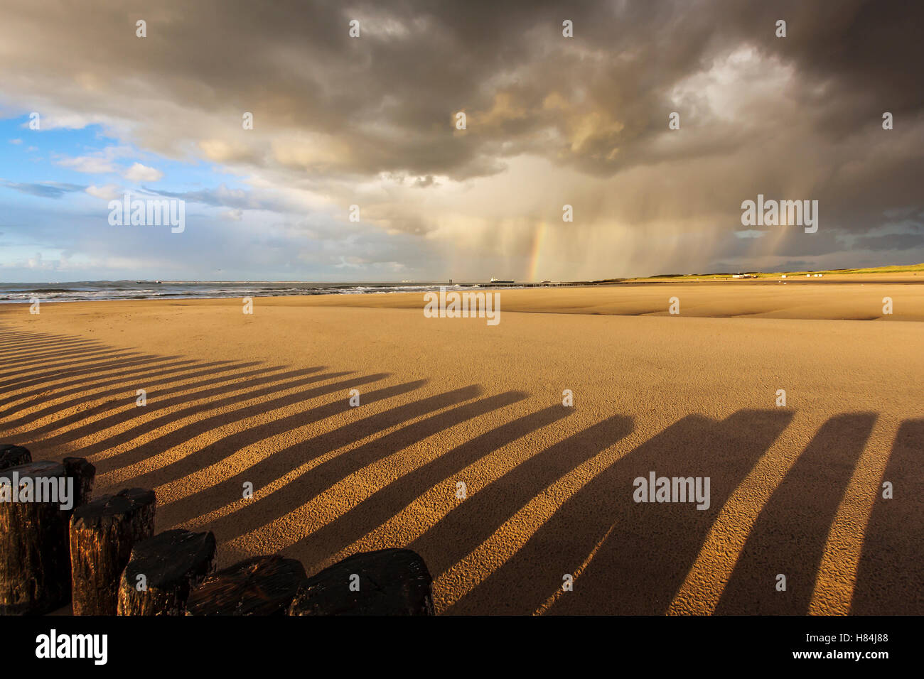 Rainstorm over beach at sunset, Breskens, Netherlands Stock Photo - Alamy