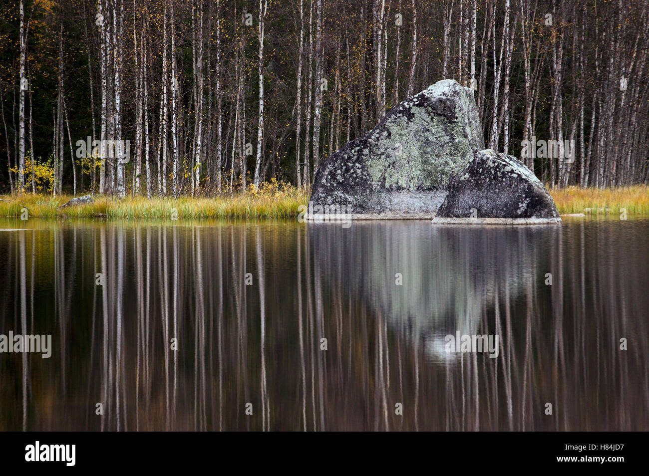 Rock and trees reflected in lake, Norway Stock Photo - Alamy