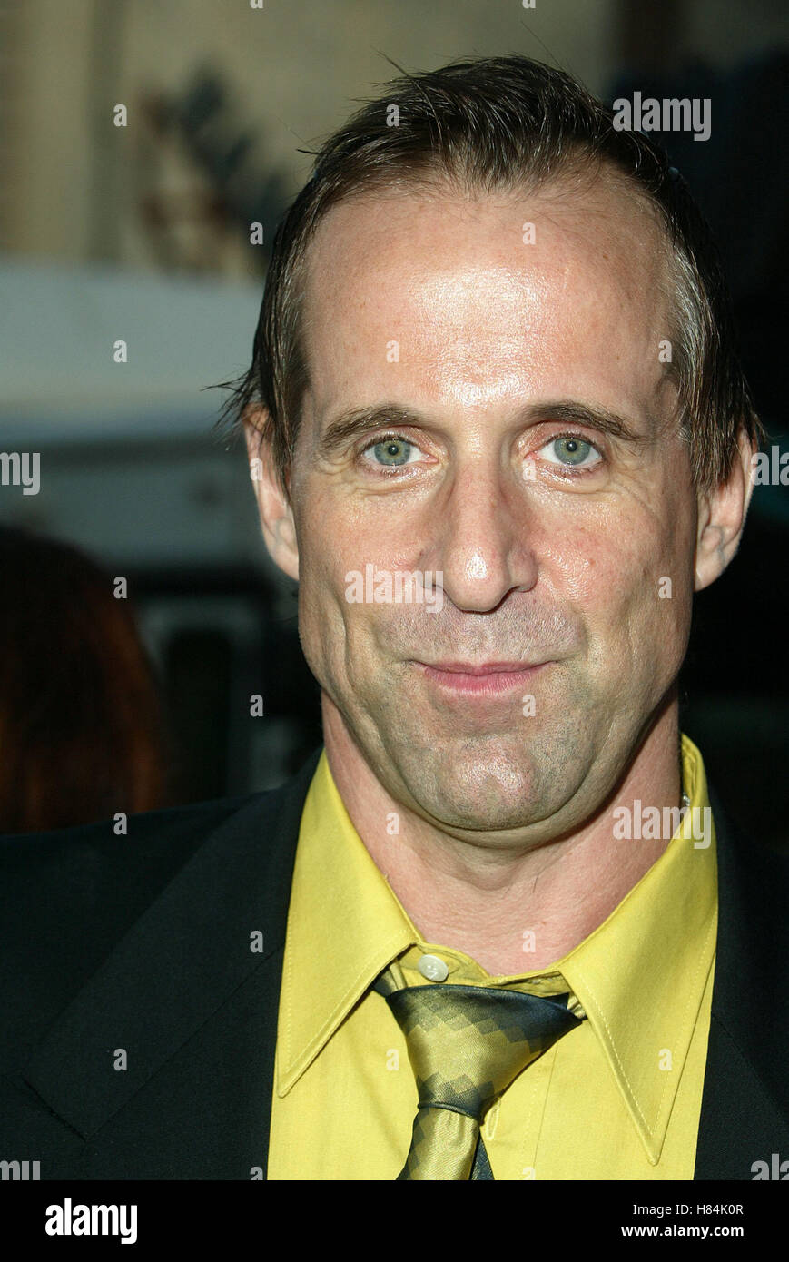 PETER STORMARE WINDTALKERS FILM PREMIERE LA CHINESE THEATRE HOLLYWOOD ...