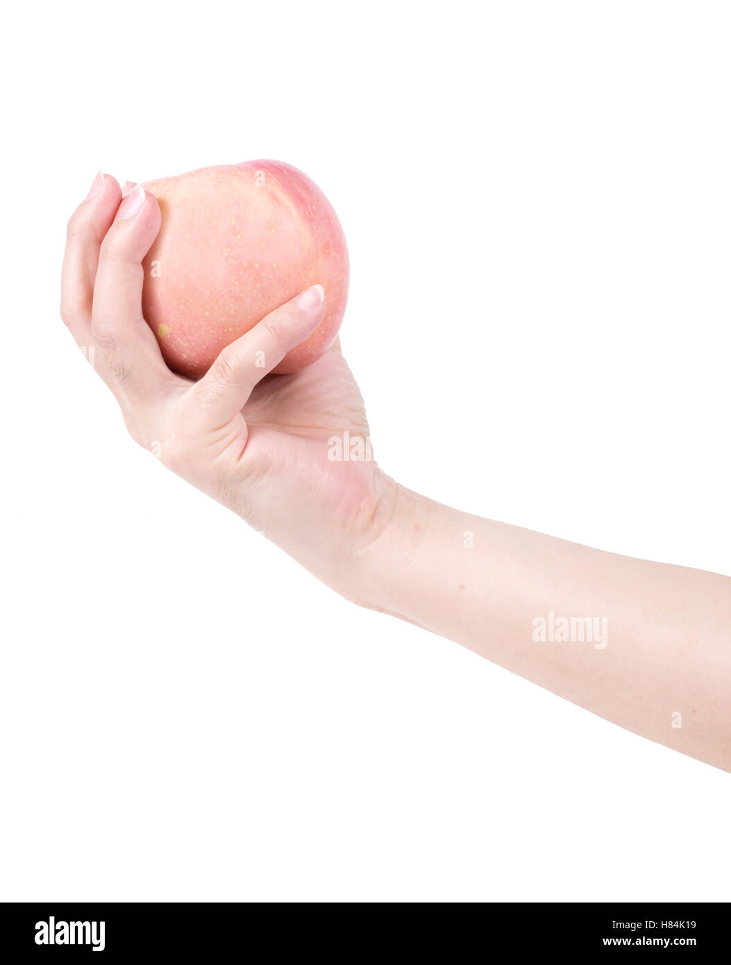 Hand holding an apple isolated on white background Stock Photo - Alamy