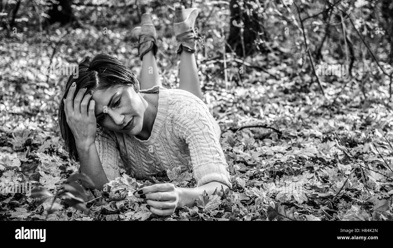 Autumn shots hi-res stock photography and images - Alamy