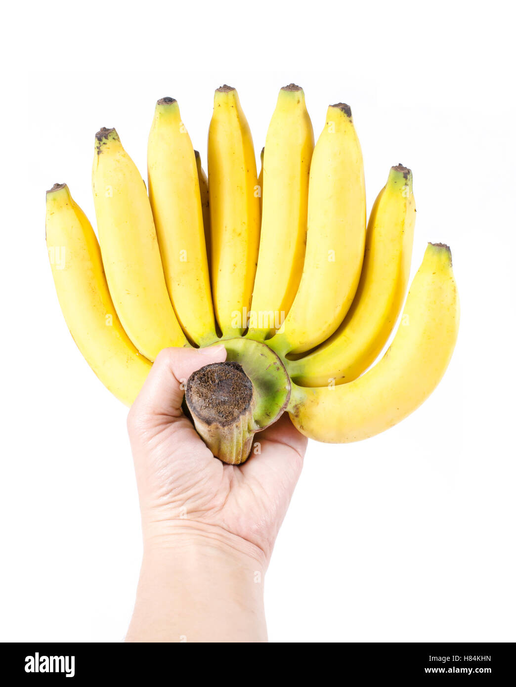 Man hand holding bunch of bananas, isolated on white background Stock ...