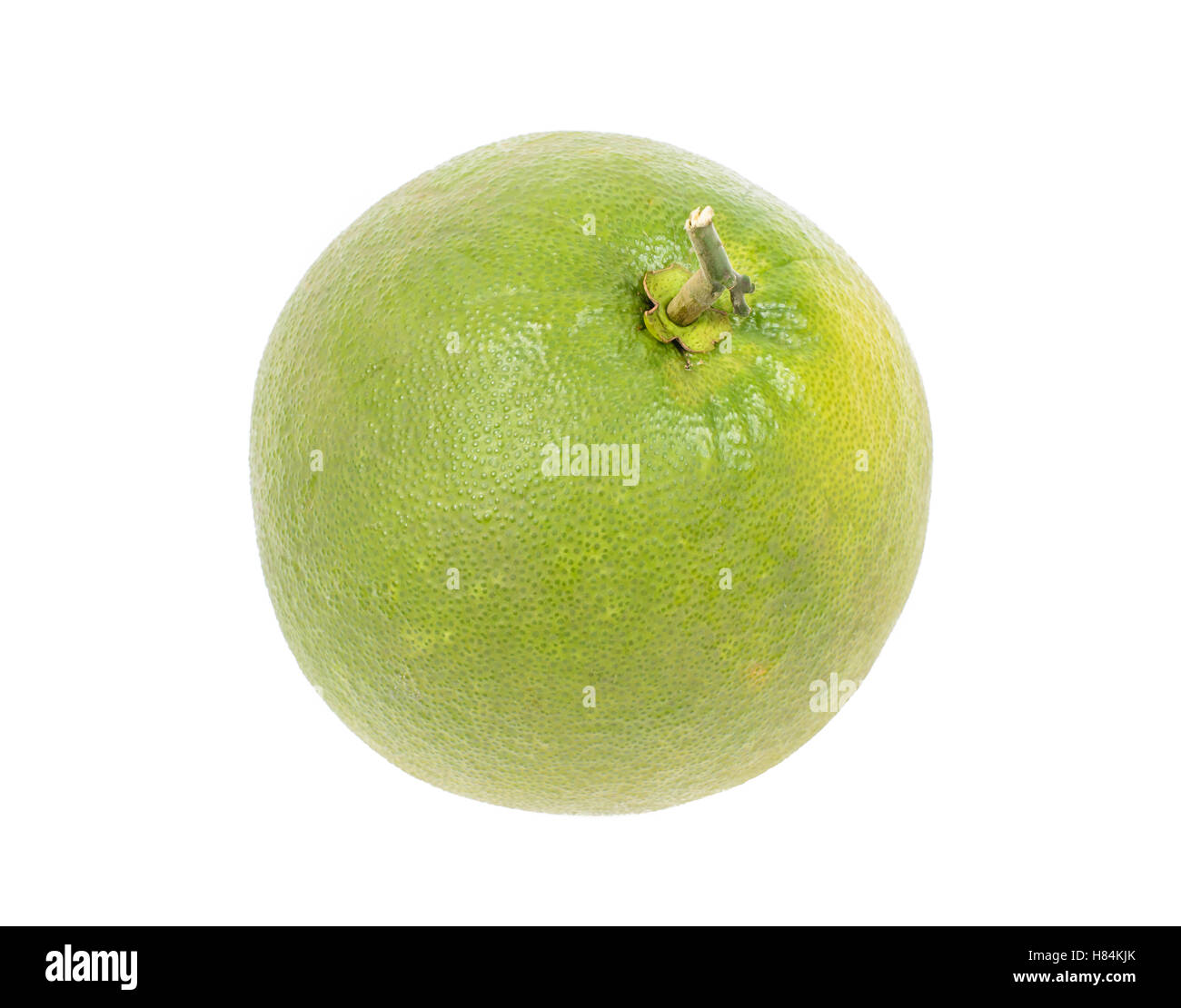 sweet fresh green grapefruit isolated on white background Stock Photo ...