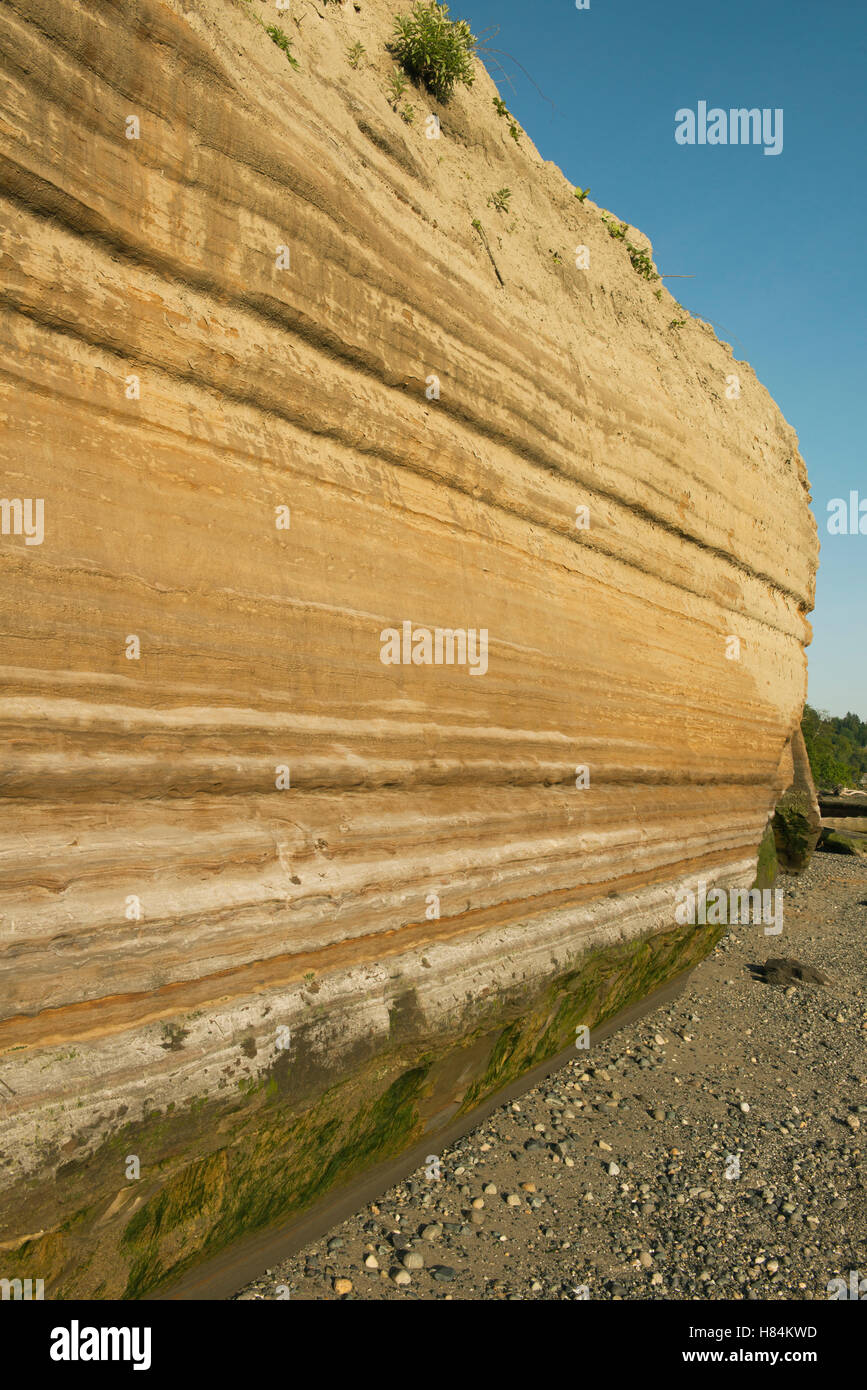 Varve sediment layers, indicative of Pleistocene inter-glacial lake ...