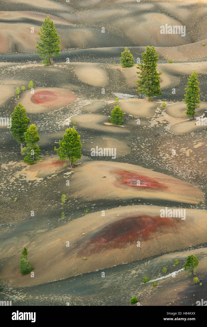 Painted Dunes below Cinder Cone, Lassen Volcanic National Park ...