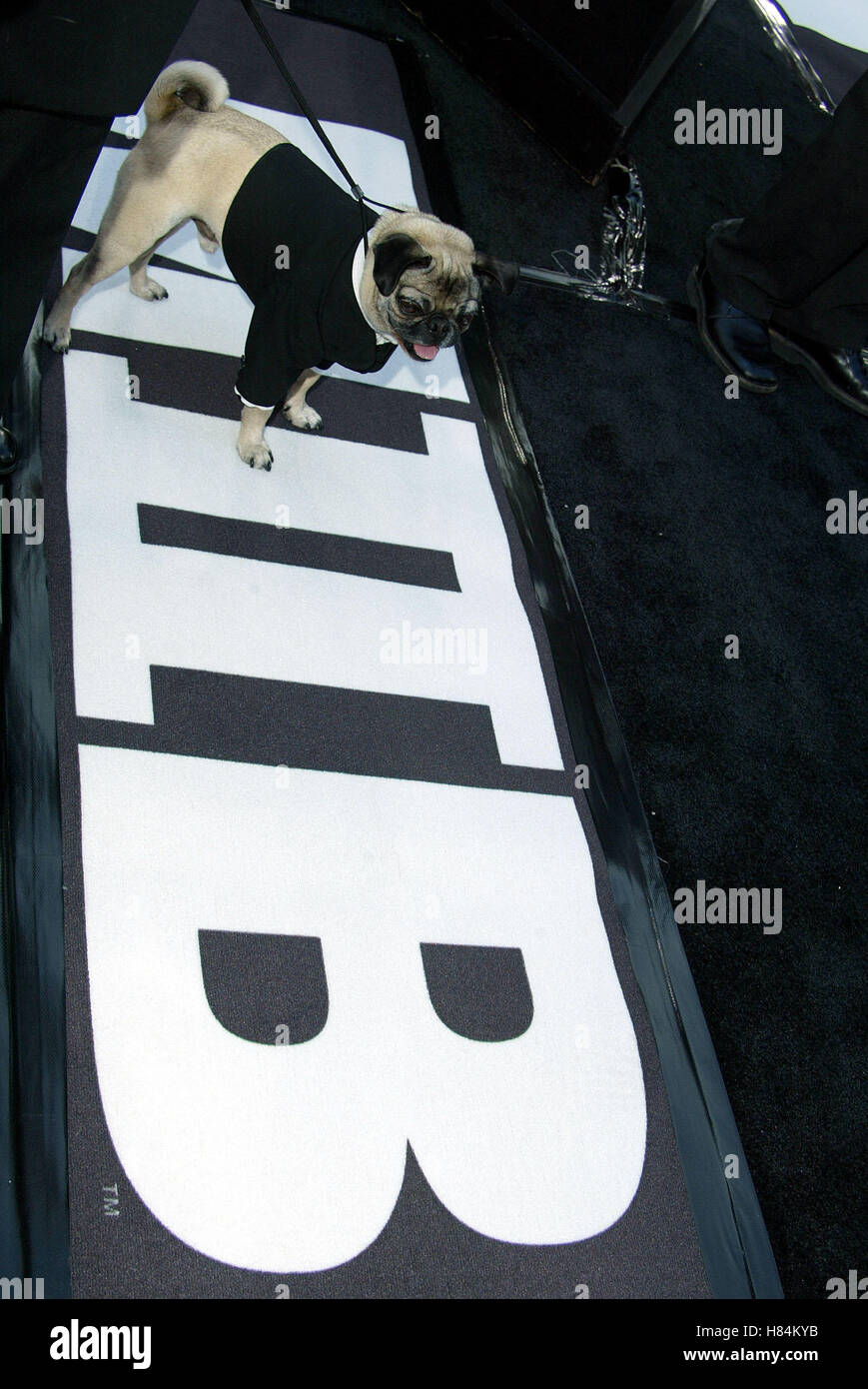 DOG FROM MEN IN BLACK 2 MEN IN BLACK II PREMIERE LOS ANGELES MANN ...