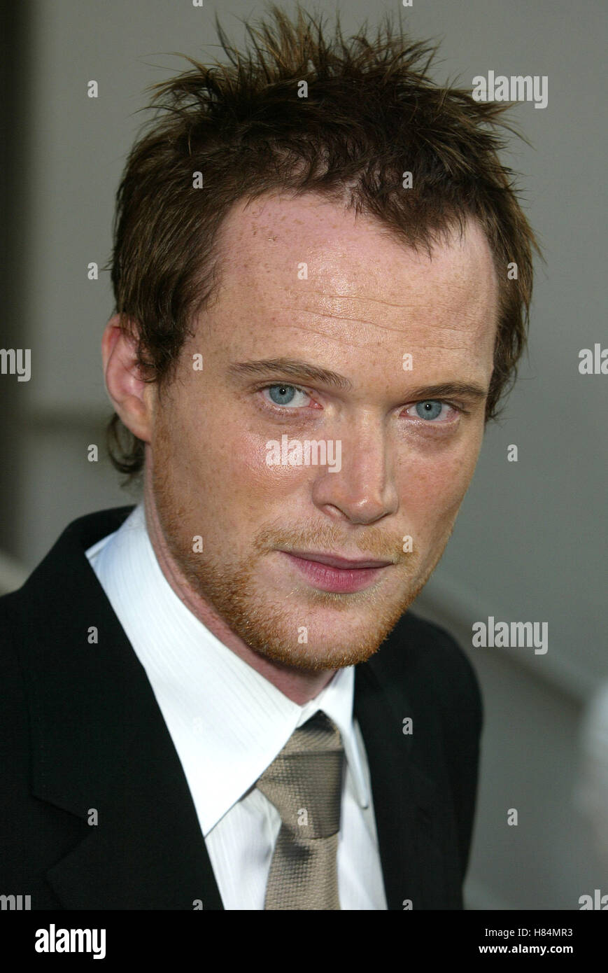 PAUL BETTANY GANGSTER NO.1 FILM PREMIERE HOLLYWOOD LOS ANGELES USA 08 ...