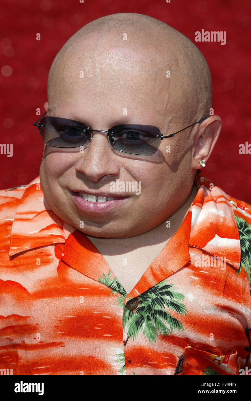 Tyler Troyer's Instagram, Twitter & Facebook on IDCrawl