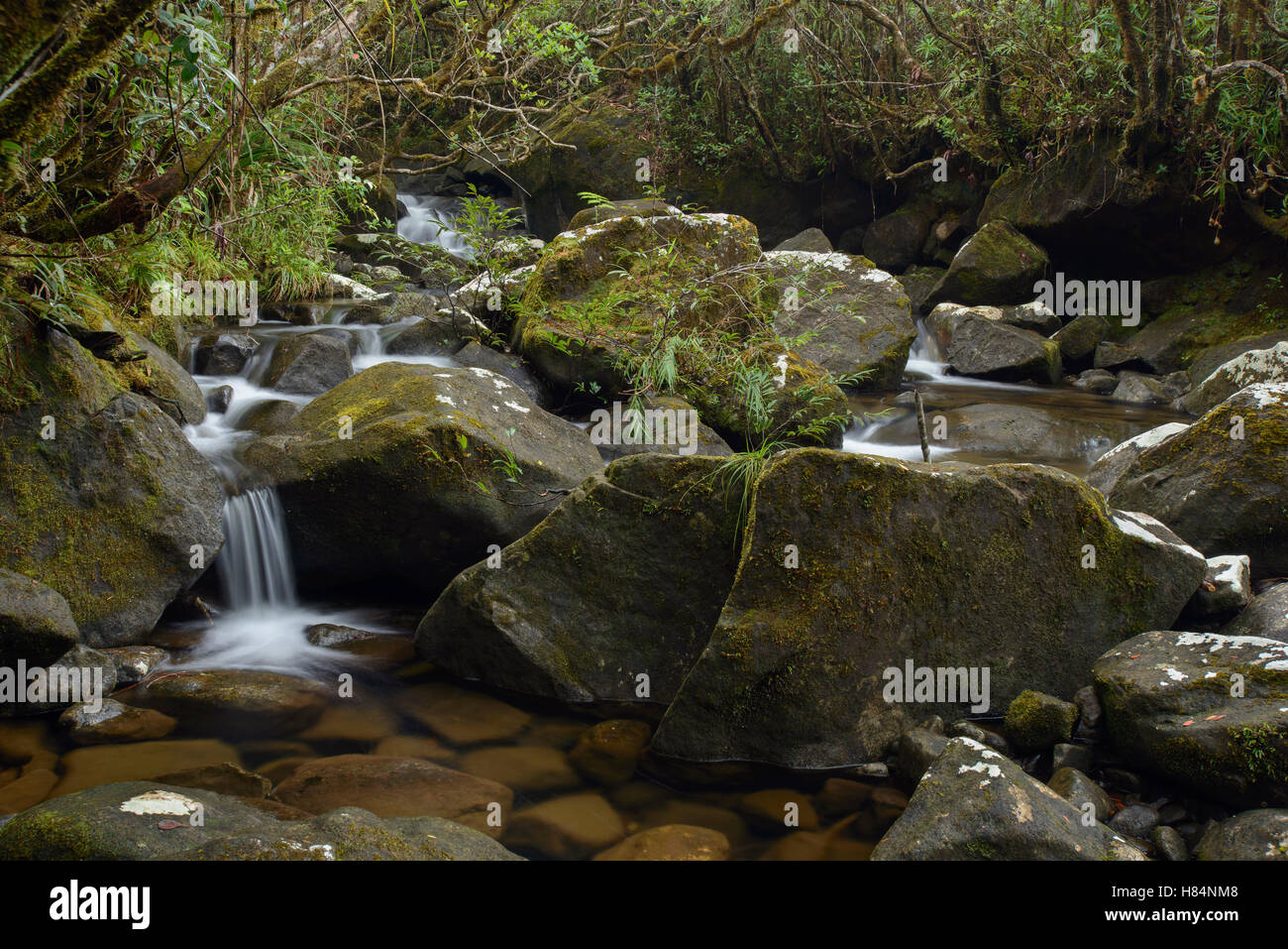 Stream cascading over mafic rocks, Mhojeg Peak, Dinalongan, Luzon ...