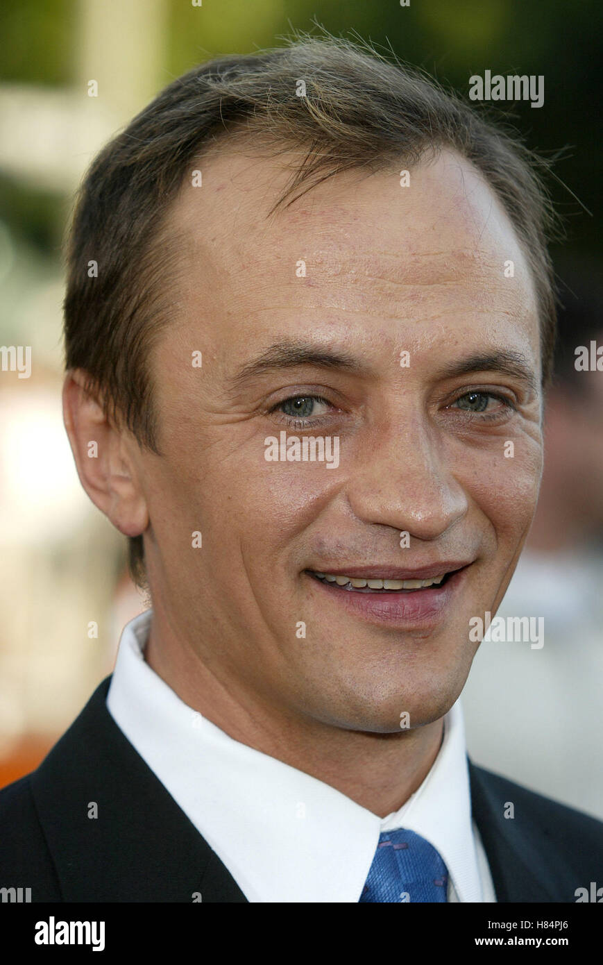 Ravil hi-res stock photography and images - Alamy