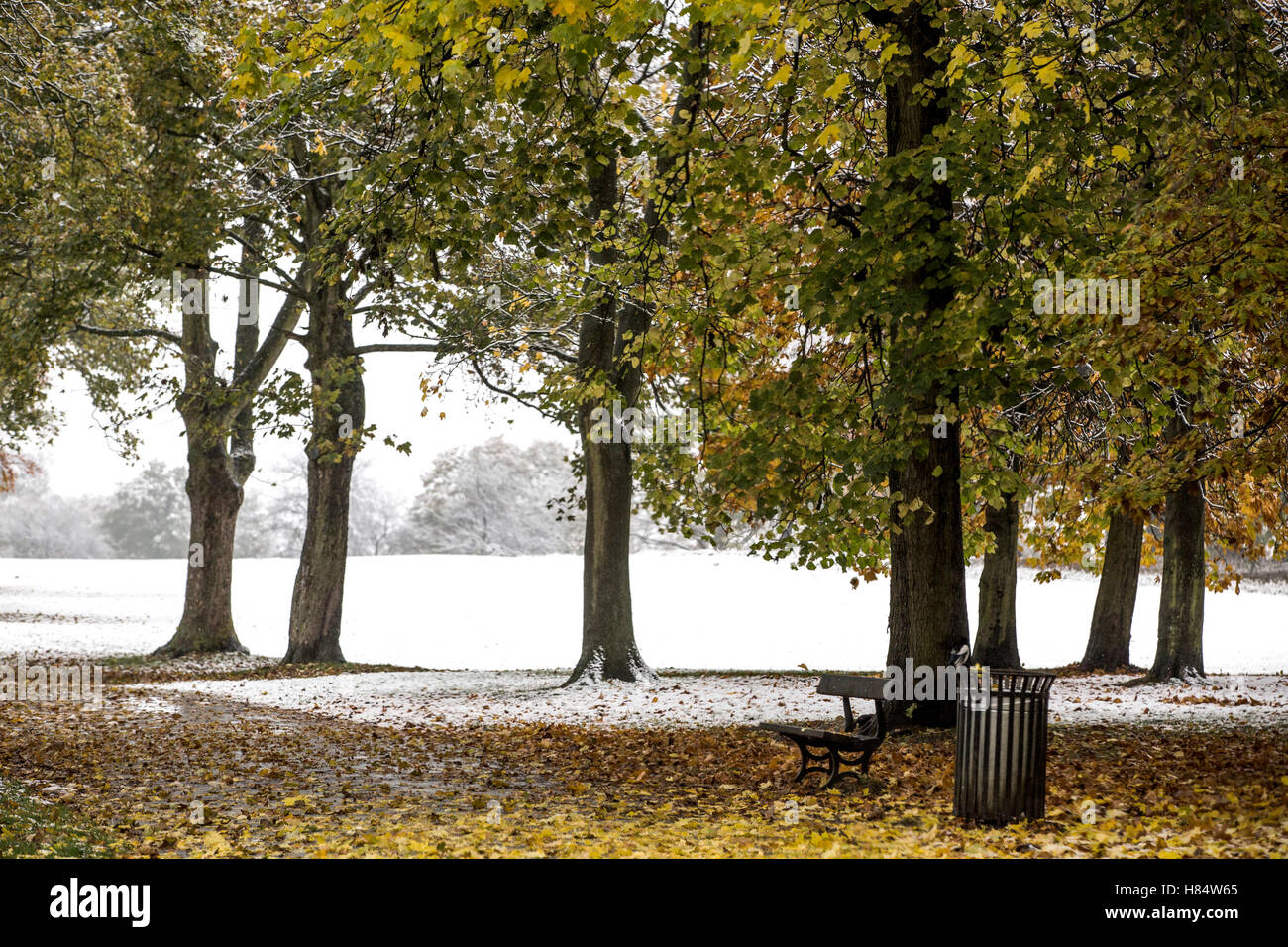 Leeds, UK. 9th Nov, 2016. A wintery start to the morning in North Leeds ...