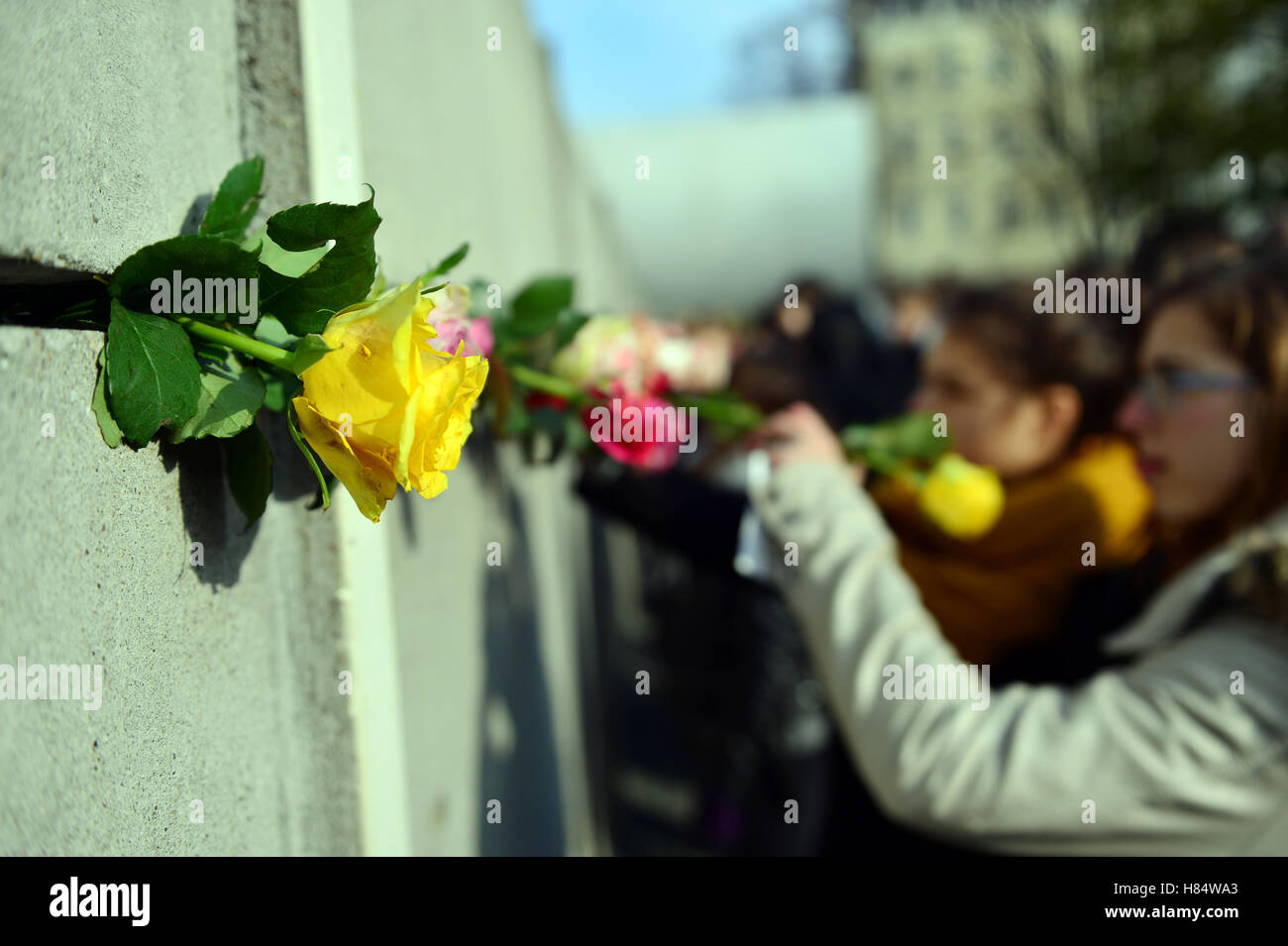 Berlin, Germany. 09th Nov, 2016. Young people place roses in a crack in ...