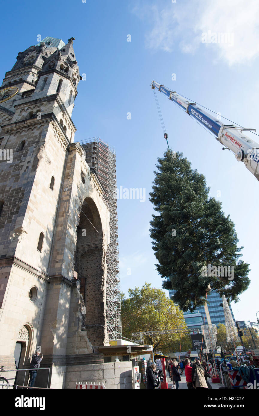 Berlin, Germany. 09th Nov, 2016. A crane positions a 25-meter-tall fir ...