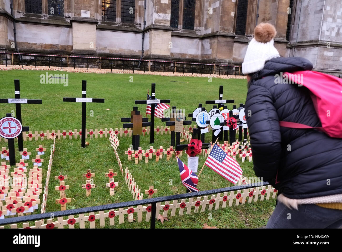 London, UK. 9th November 2016. Field of Remembrance to honour and ...