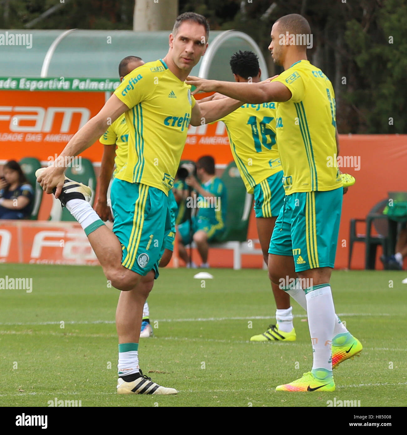 SÃO PAULO, SP - 09.11.2016: TREINO DO PALMEIRAS - Pictured goalkeeper ...