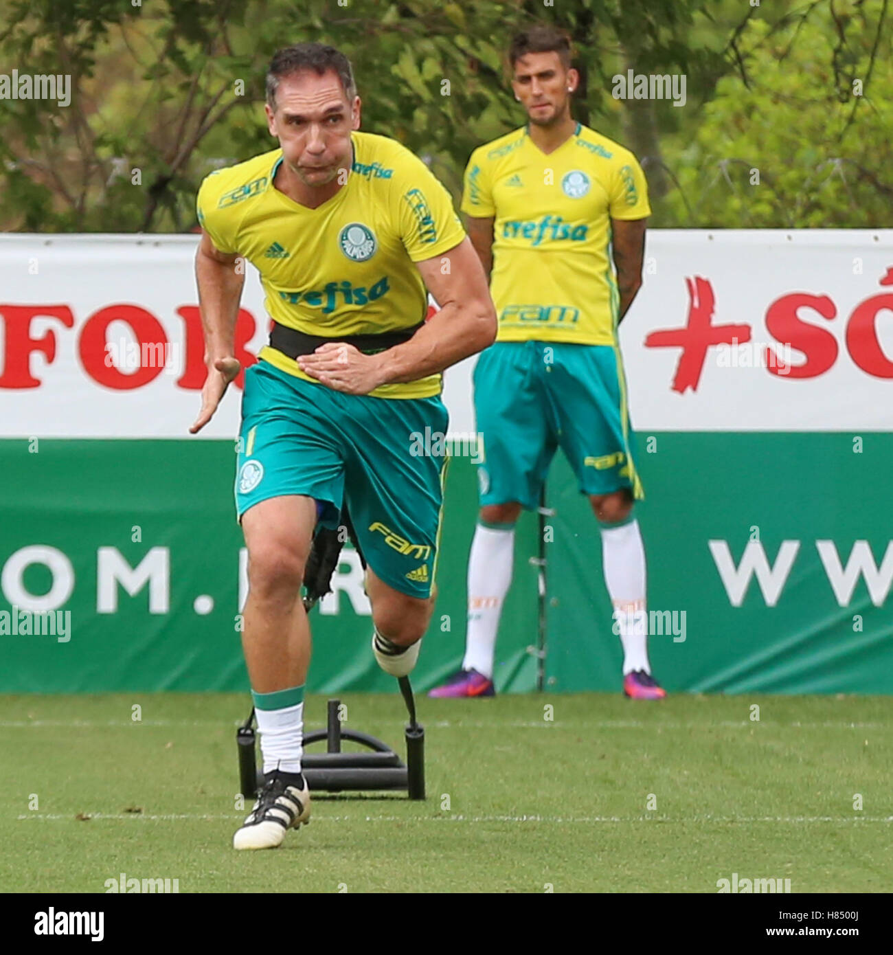 SÃO PAULO, SP - 09.11.2016: TREINO DO PALMEIRAS - Pictured goalkeeper ...