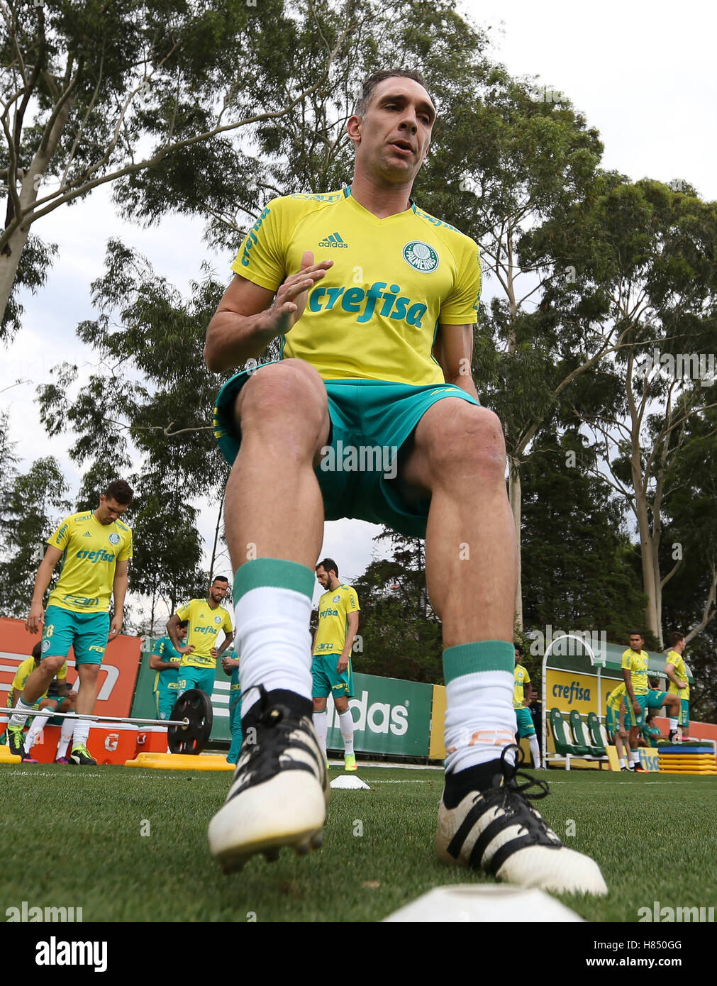 SÃO PAULO, SP - 09.11.2016: TREINO DO PALMEIRAS - The goalkeeper ...