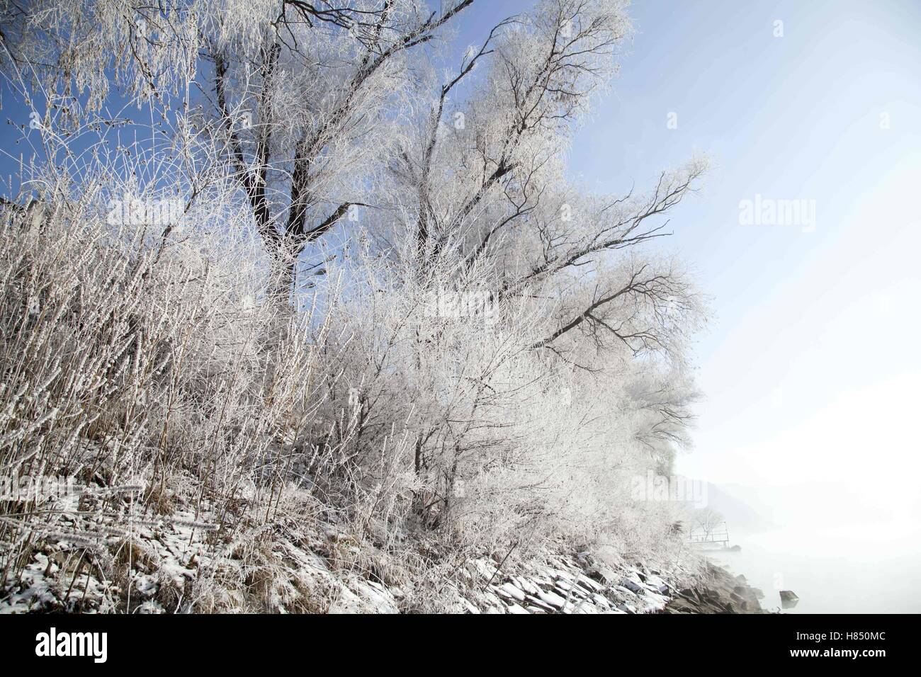 Jilin, Jilin, China. 9th Nov, 2016. Scenery of Rime Island on the lower ...