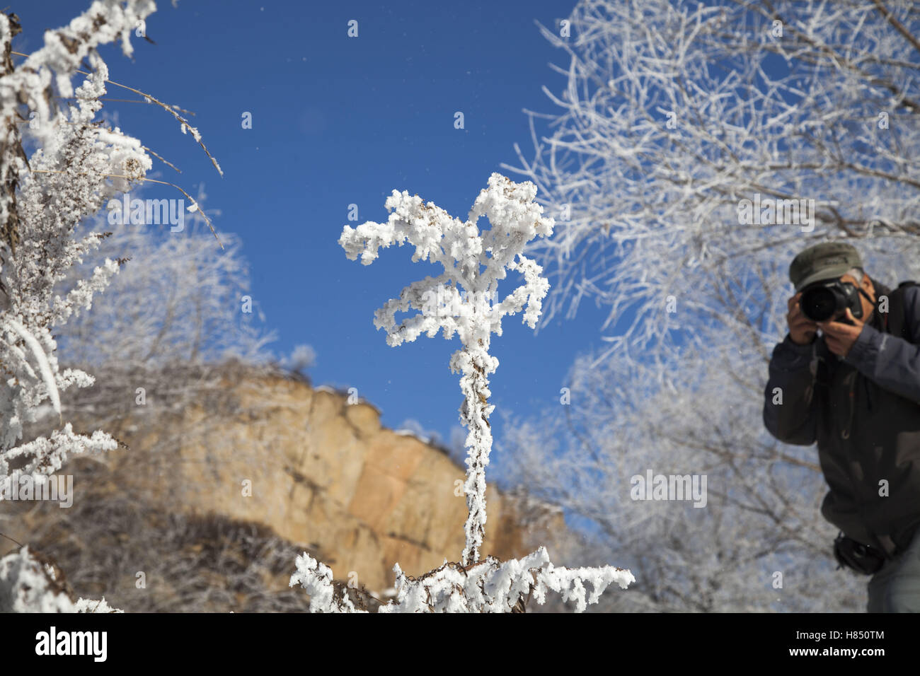 Jilin, Jilin, China. 9th Nov, 2016. Scenery of Rime Island on the lower ...