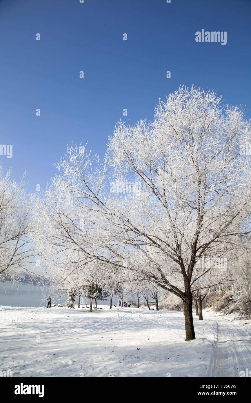 Jilin, Jilin, China. 9th Nov, 2016. Scenery of Rime Island on the lower ...