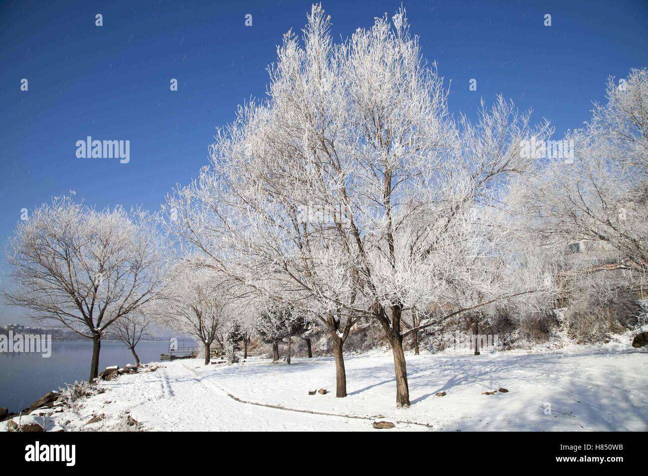 Jilin, Jilin, China. 9th Nov, 2016. Scenery of Rime Island on the lower ...
