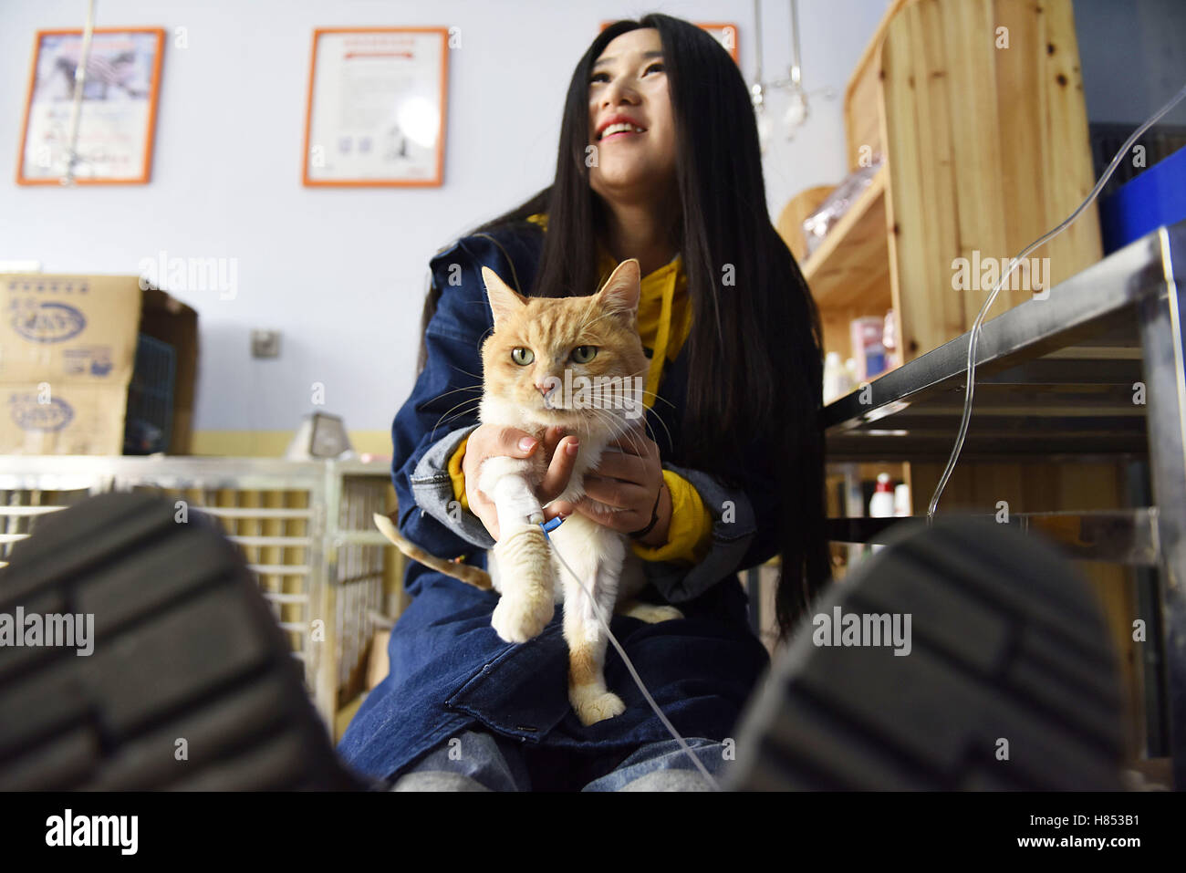 China abandoned hospital hi-res stock photography and images - Alamy