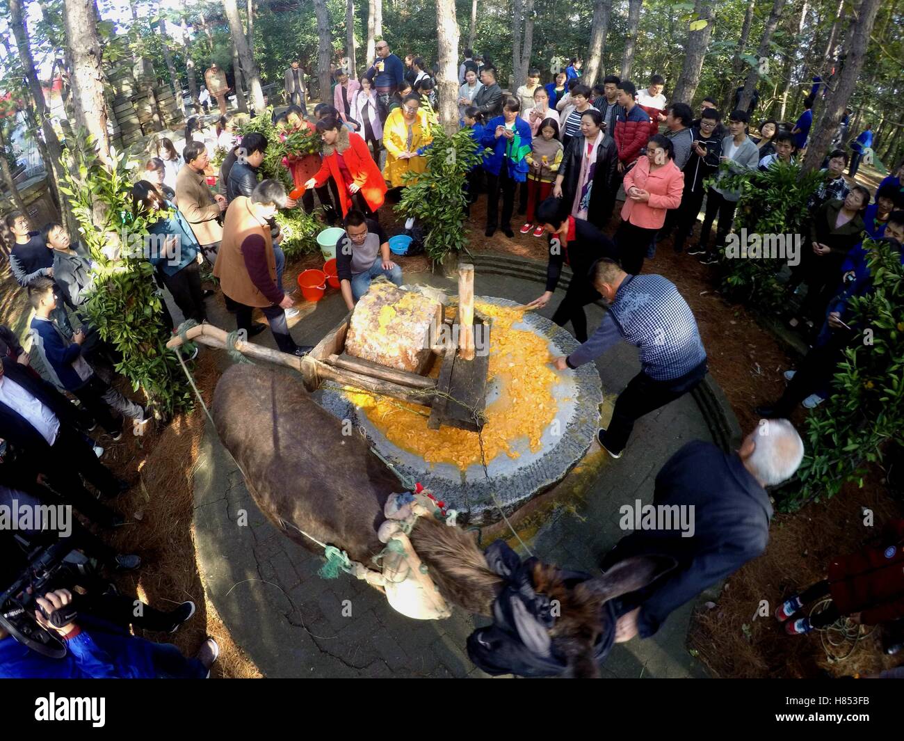 Nanyang, Nanyang, China. 5th Nov, 2016. Nanyang, CHINA-November 5 2016 ...