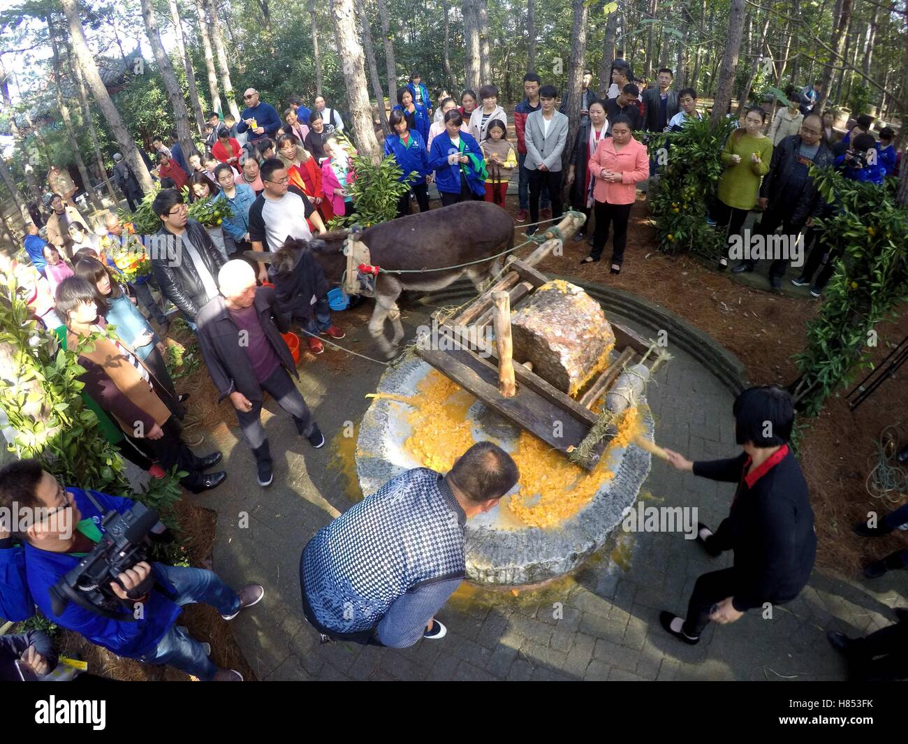 November 5, 2016 - Nanyang, Nanyang, China - Nanyang,CHINA-November 5 ...