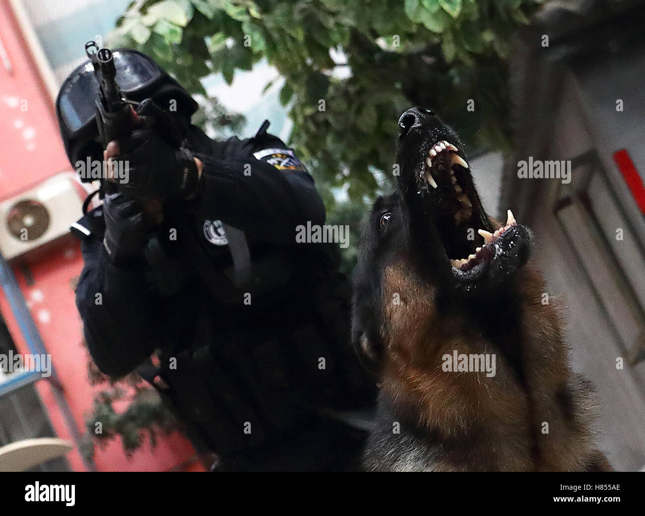 Beijing, China. 5th Nov, 2016. A SWAT team member of Beijing police ...