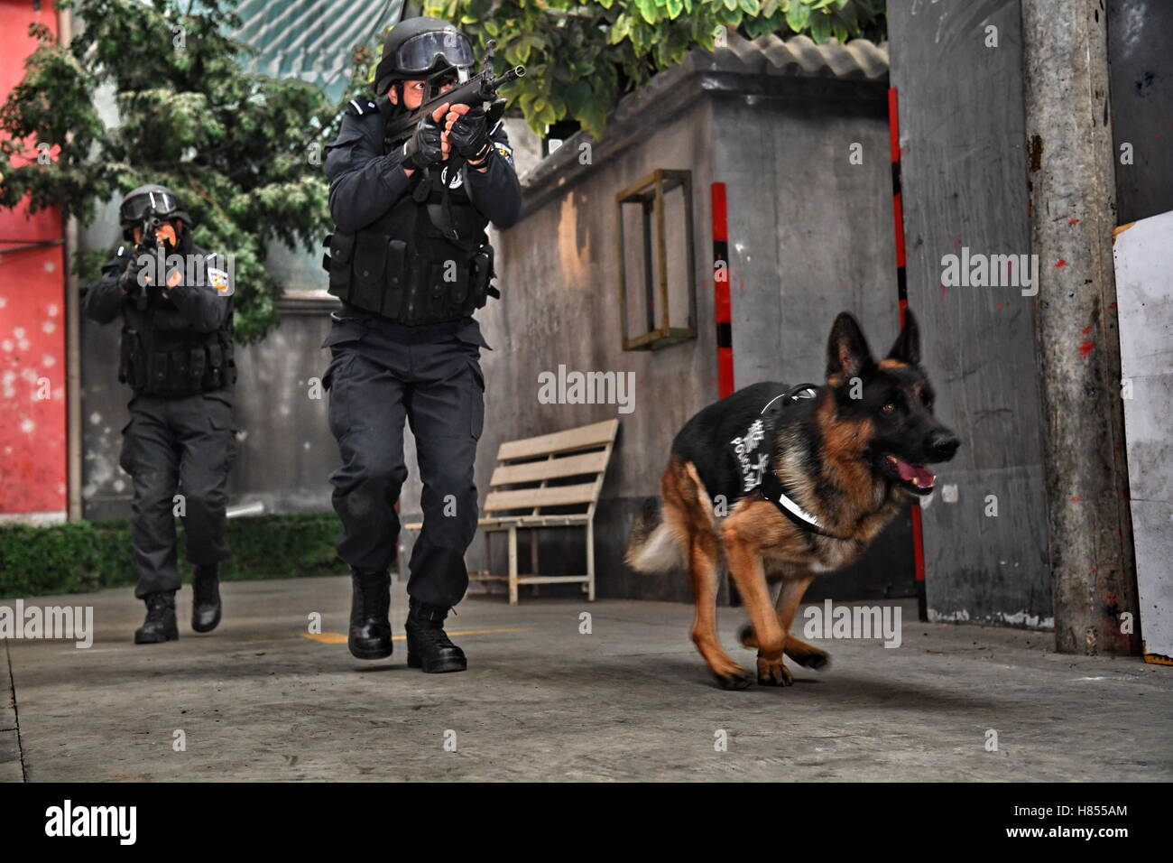 Beijing, China. 5th Nov, 2016. Members of a SWAT team of Beijing police ...