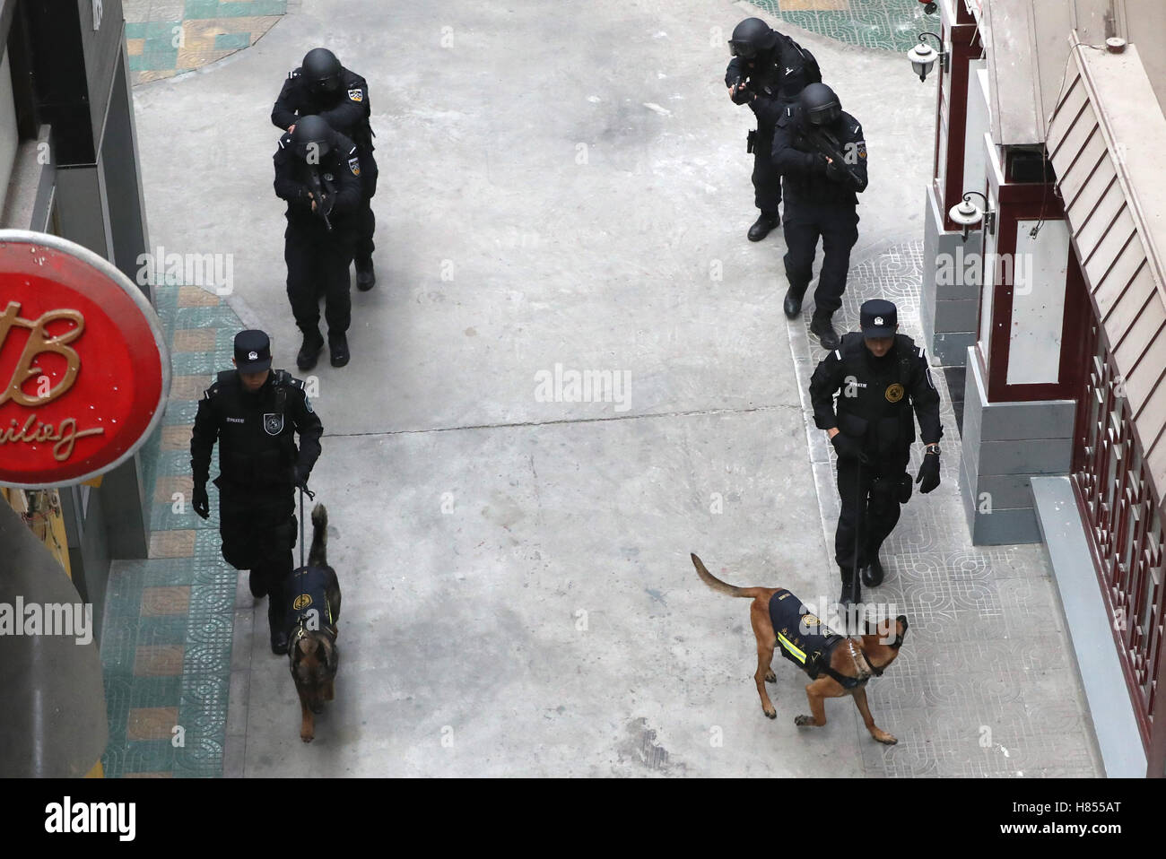 Beijing, China. 5th Nov, 2016. Members of a SWAT team and criminal ...