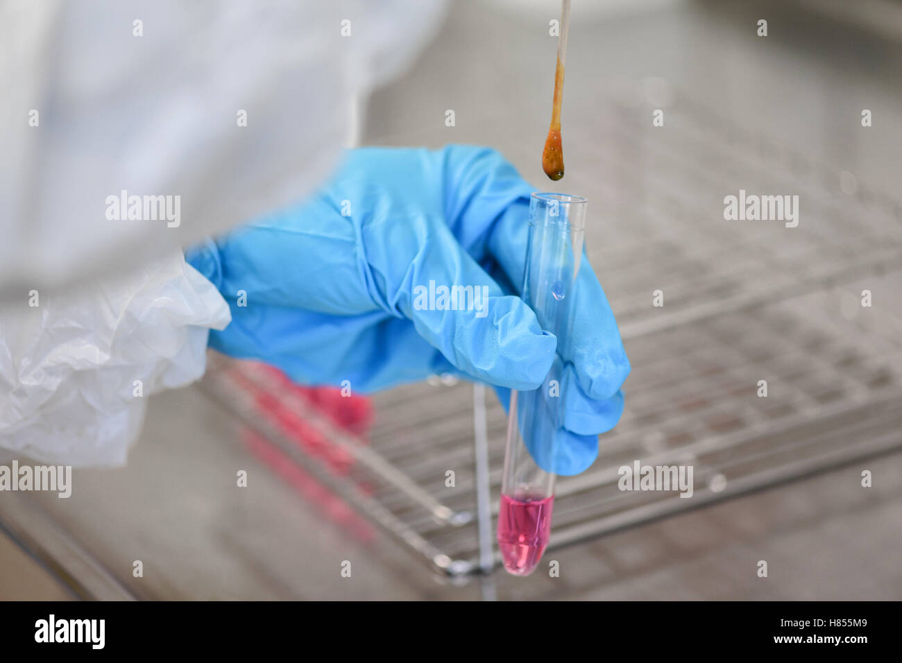 Cloaca hi-res stock photography and images - Alamy