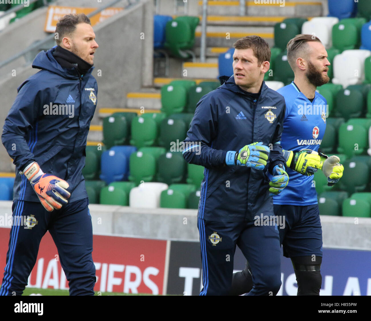 Northern ireland goalkeeper trevor carson hi-res stock photography and ...