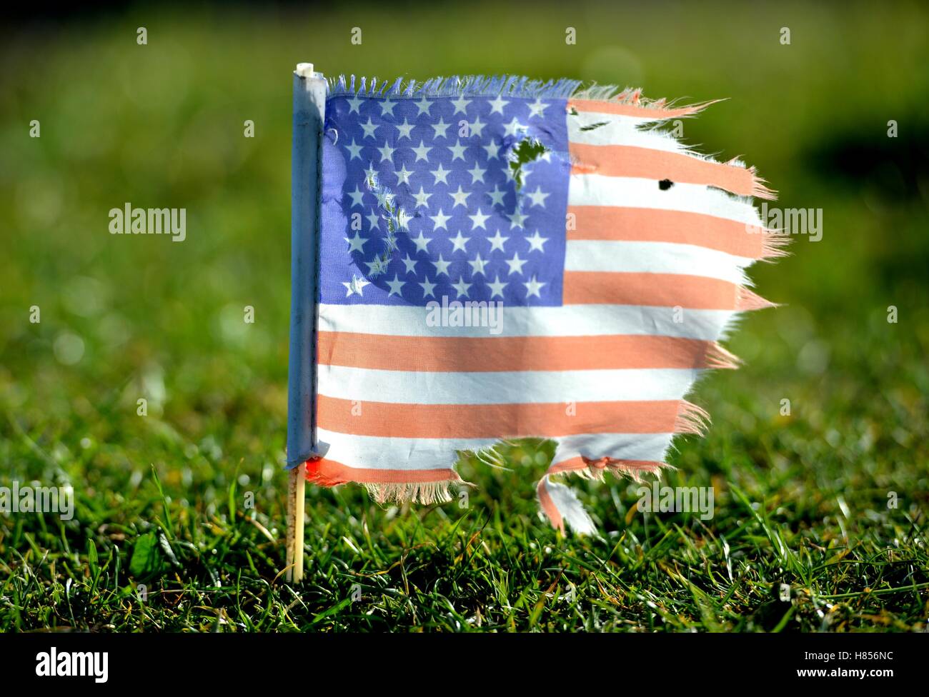 Tattered US flag Stock Photo - Alamy