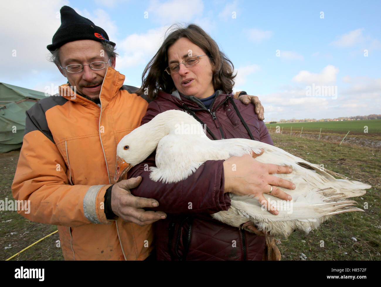 Saal, Germany. 10th Nov, 2016. Farmers Chris Bokemeyer-Siems (R) and ...