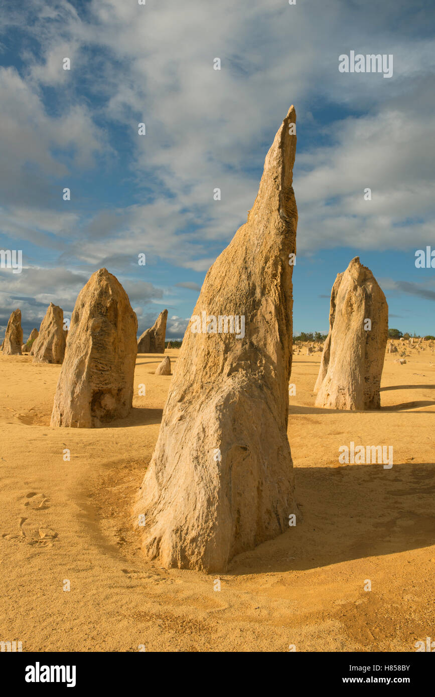 Eroded limestone pinnacles, Nambung National Park, Western Australia ...