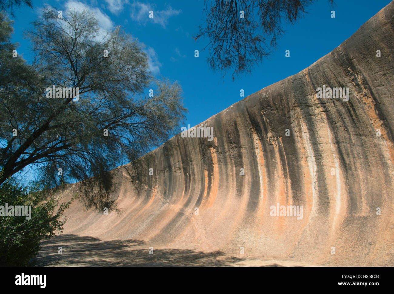Wave rock, 15 meters high and 110 meters long curved granite cliff face ...