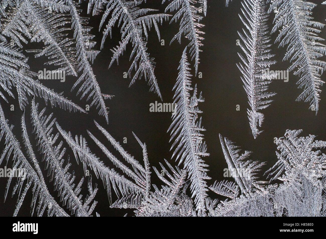 Frost on window, Alaska Stock Photo - Alamy