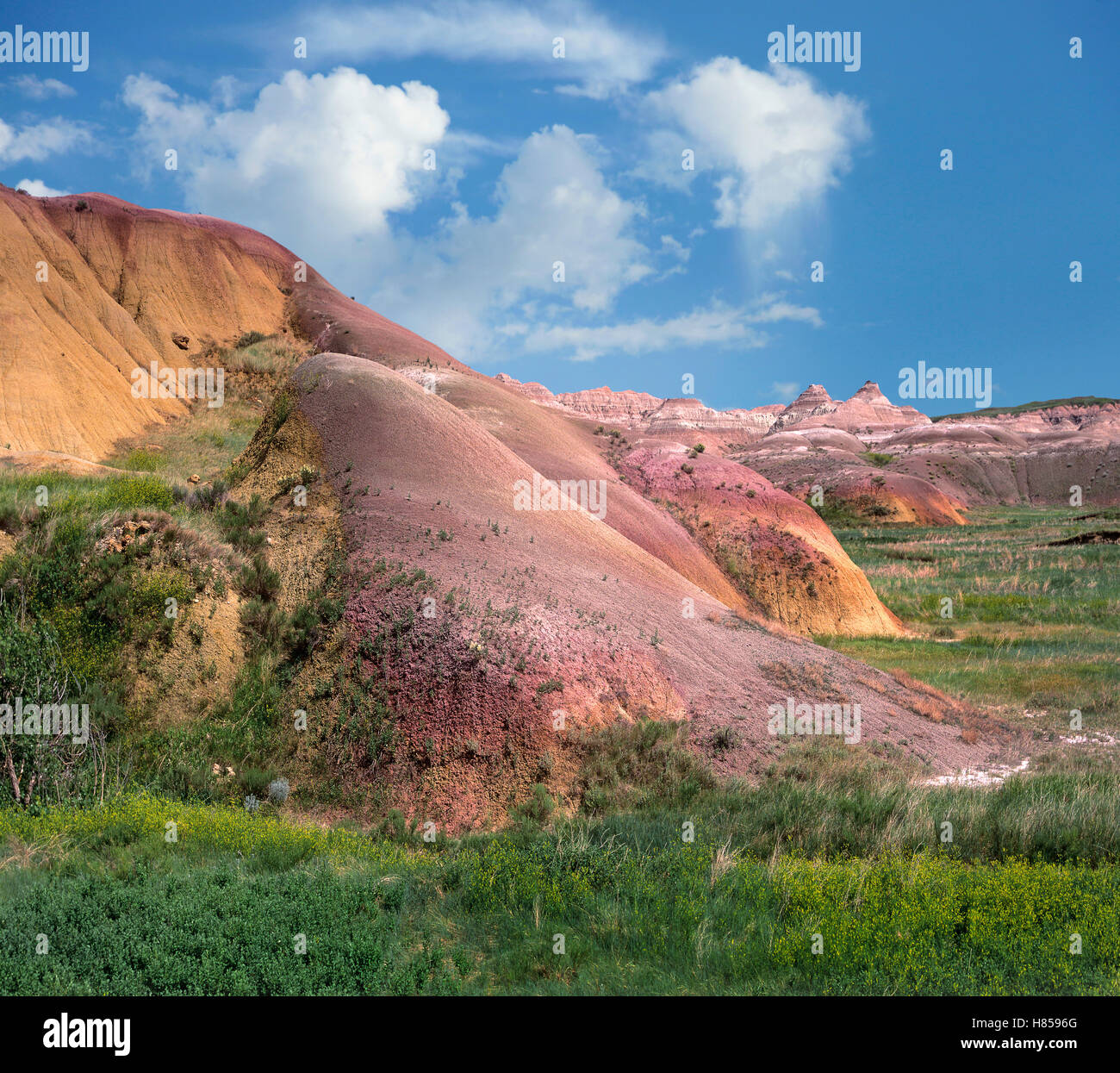 Yellow Mound Paleosols formation, Badlands National Park, South Dakota ...